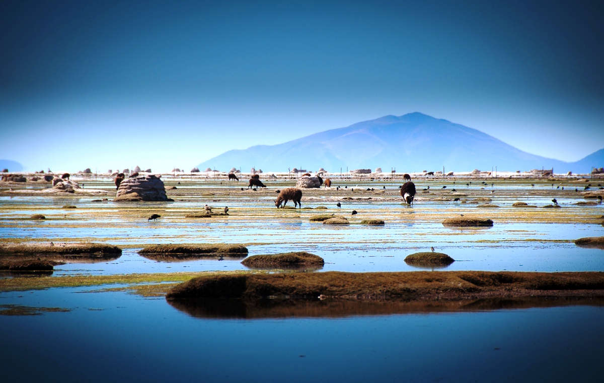 Chipaya – Guia Lugares Turísticos